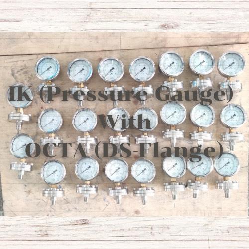Pressure gauge IK with Diaphragm Octa (Flange) - OCTA จำหน่ายเครื่องมือ ...