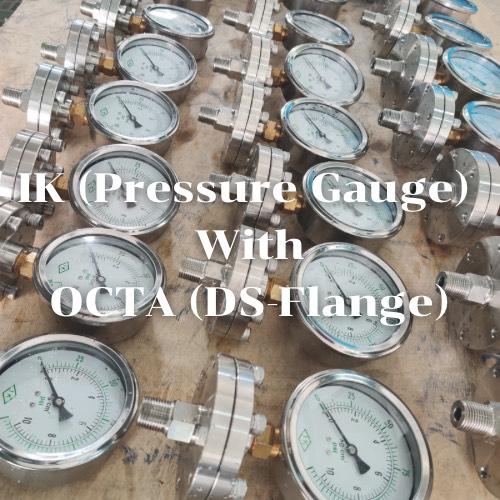 Pressure gauge IK with Diaphragm Octa (Flange) - OCTA จำหน่ายเครื่องมือ ...